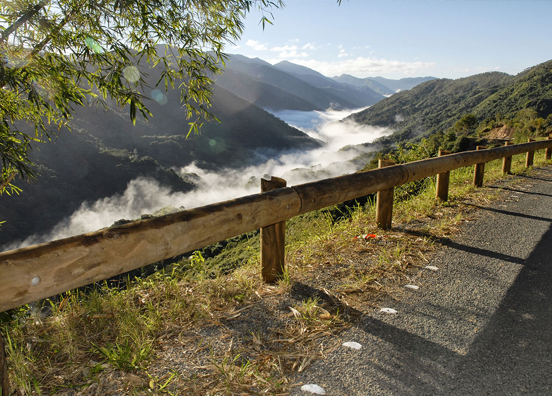 Timber/ Wood N2 Rated Crash Barrier | Urban Fencing